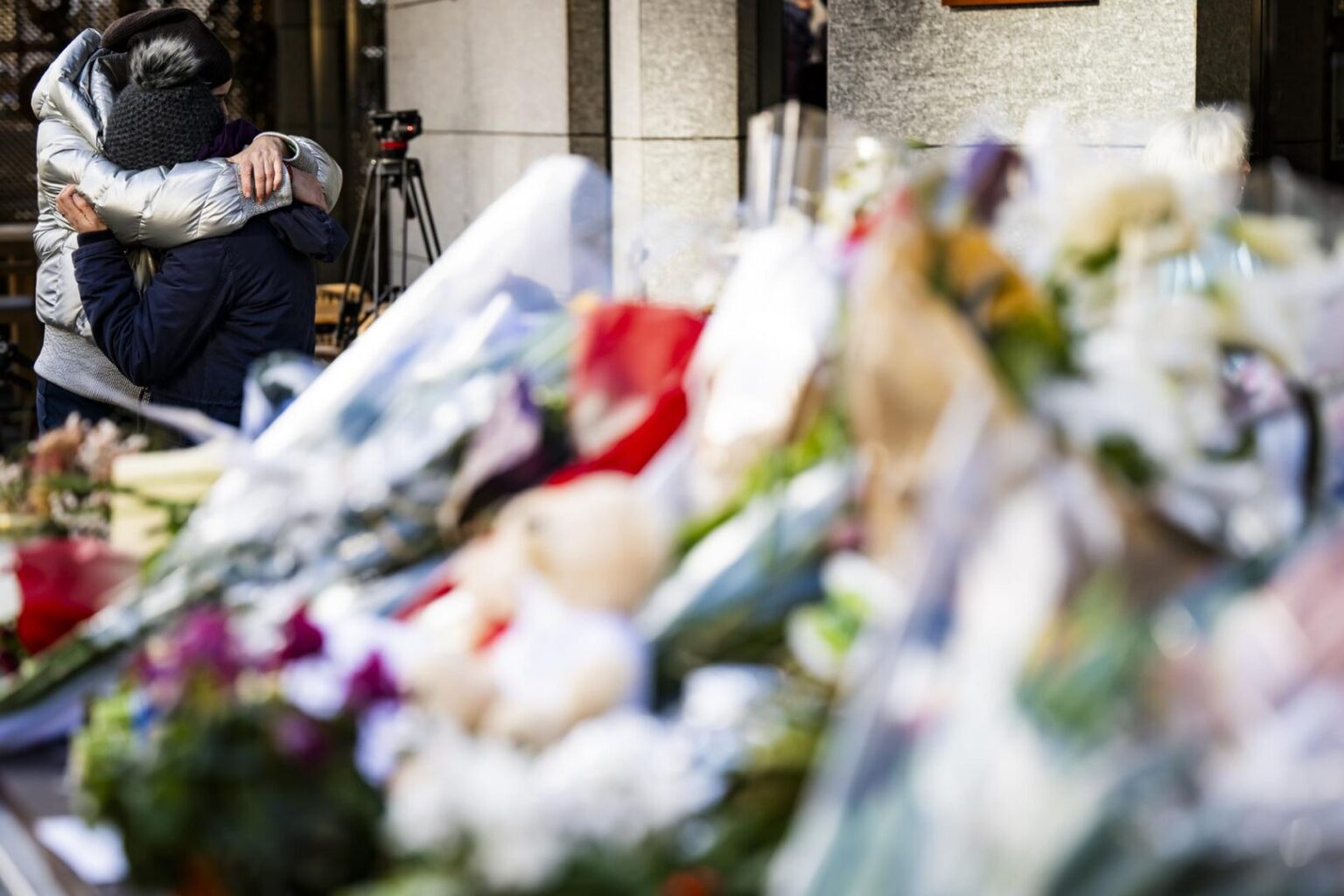 ¿Qué significa Amazon? El significado real de su peculiar nombre ...